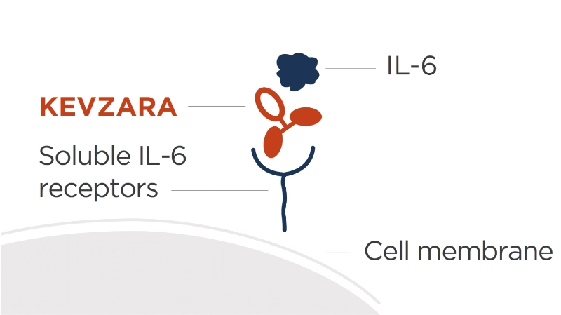How Does KEVZARA Work? | KEVZARA (sarilumab) injection 200 mg